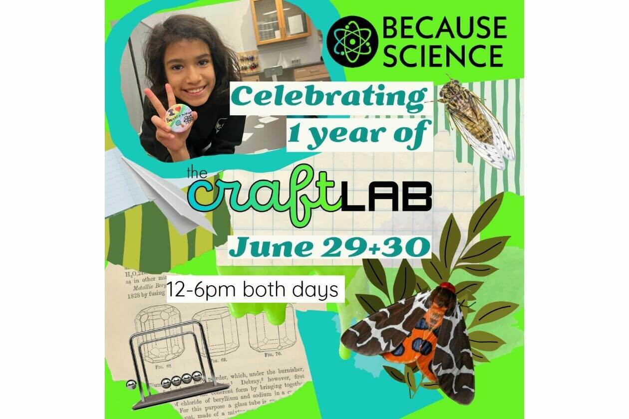 Free Science Festival in Adams Morgan this weekend! - PoPville
