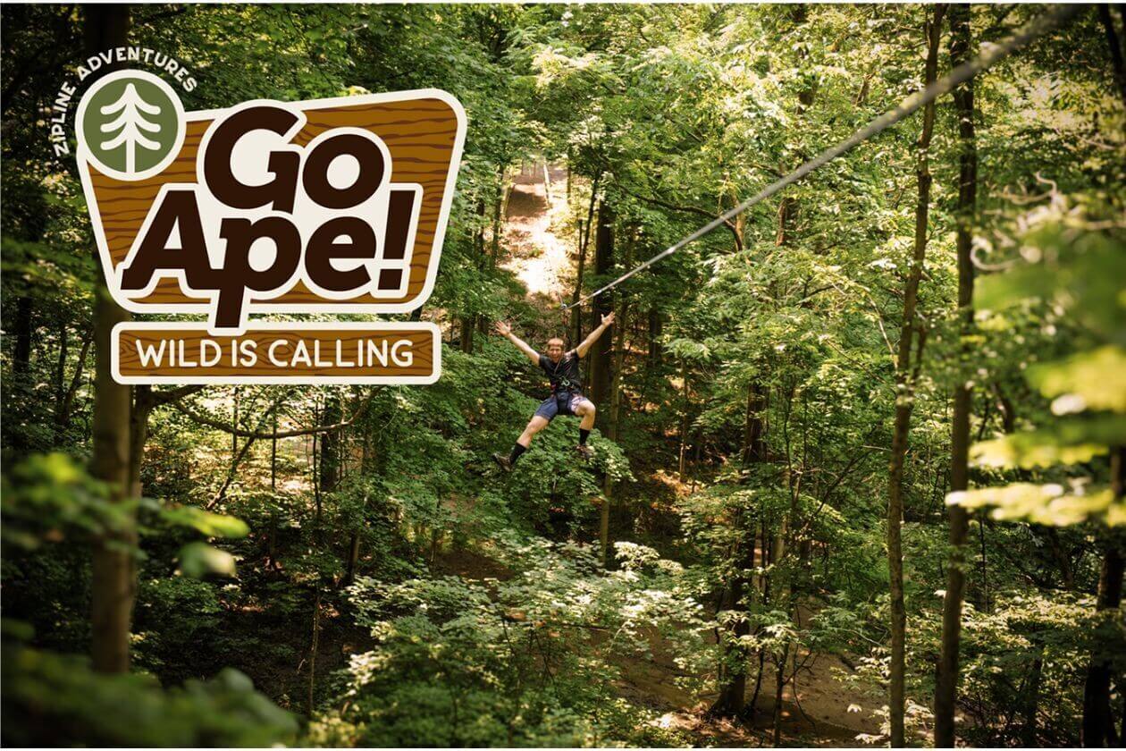 Go Ape Unveils New Elevated Experiences to Inspire Deeper Connections ...