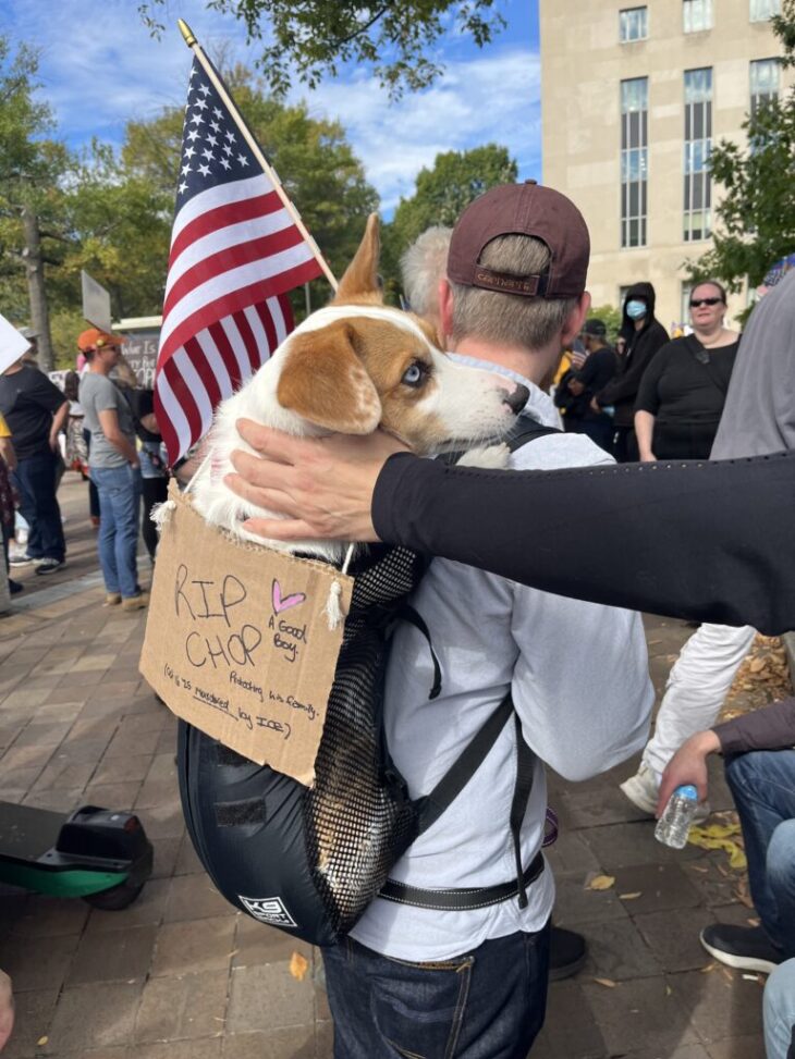 Please Enjoy This Great Group of Corgis*** around Town - PoPville