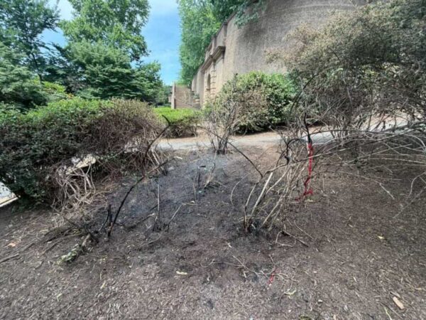 Fire in Meridian Hill/Malcolm X Park Saturday Night - PoPville