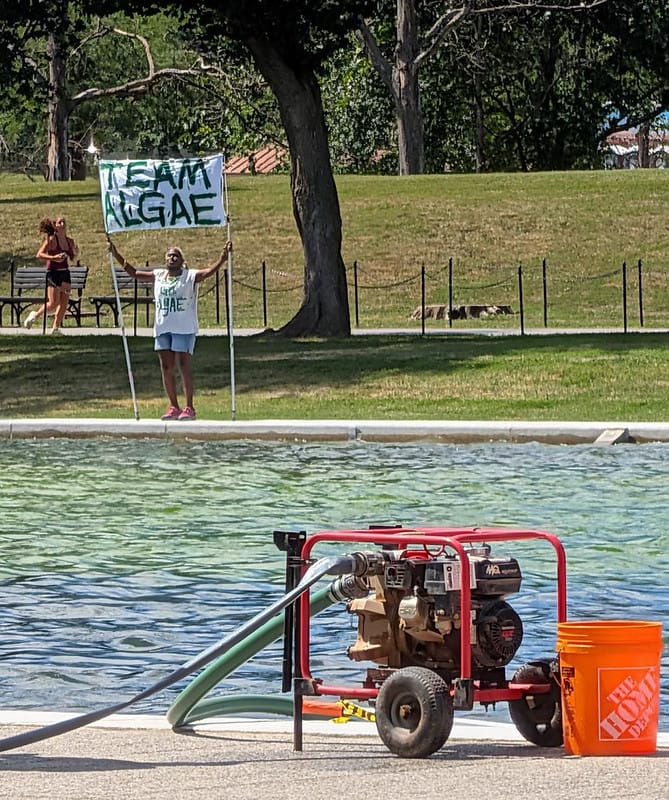 Signs of the Times: “Team Algae” - PoPville